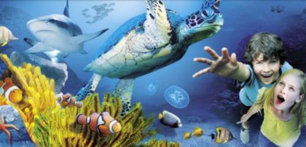 Heart North East: Win An Annual Sea Life Centre Pass - Heart North East