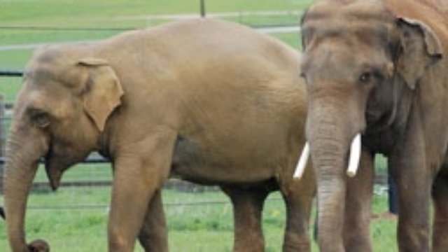 Heart Four Counties - Woburn Safari Park - October 2019 - Heart Four ...