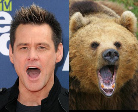 Celebrity Look Alike Animals