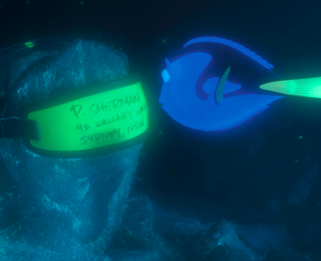 Dory reading the diving mask - 10 Reasons We're Excited About Finding ...