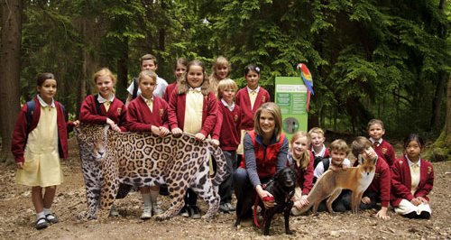 Win A Discovery Pass And Sky Free For A Year - Heart West Midlands