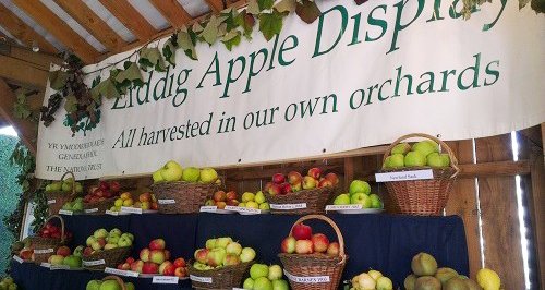 Erddig’s Apple Festival takes place this weekend! - Heart Wales - North