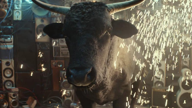 Heart South Hams Competitions - Win Money, Holidays & The BEST Prizes!